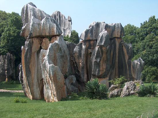 Traveler Guide: Explore Kunming Stone Forest