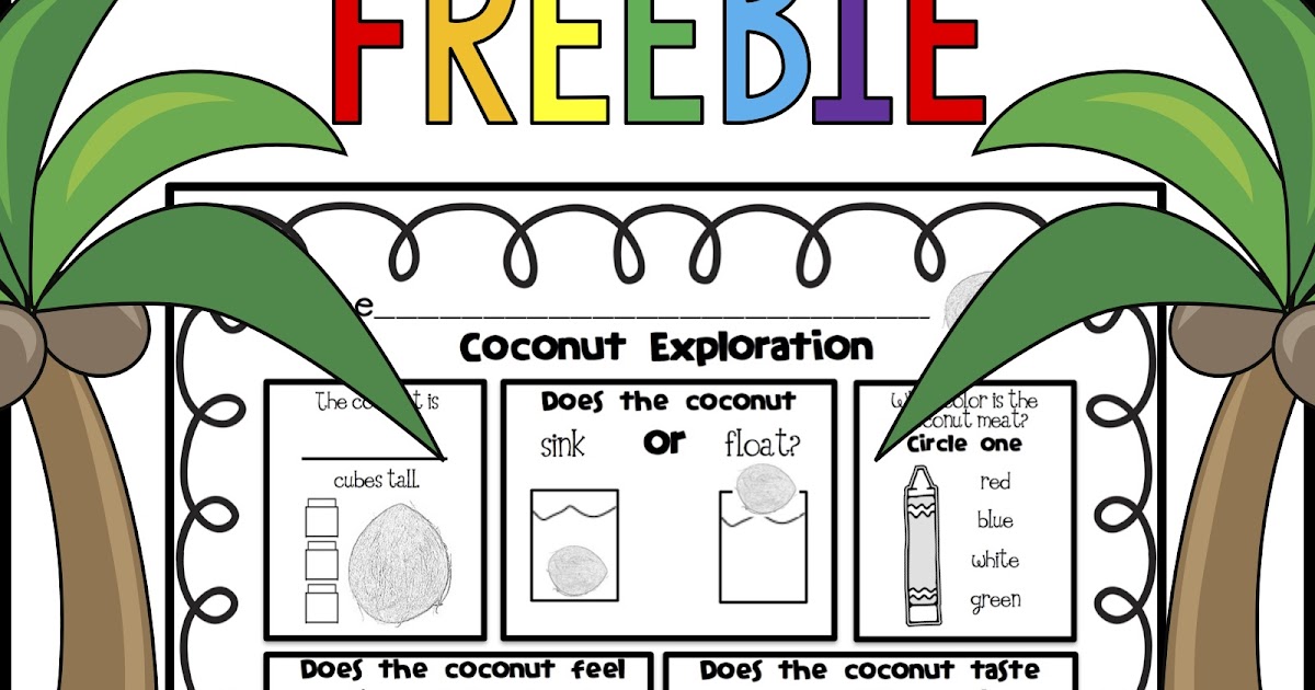 Emily Jane Creates: CHICKA CHICKA BOOM BOOM COCONUT EXPLORATION ...
