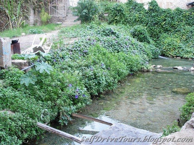 Downstream from Eden: A Pinch of Salt