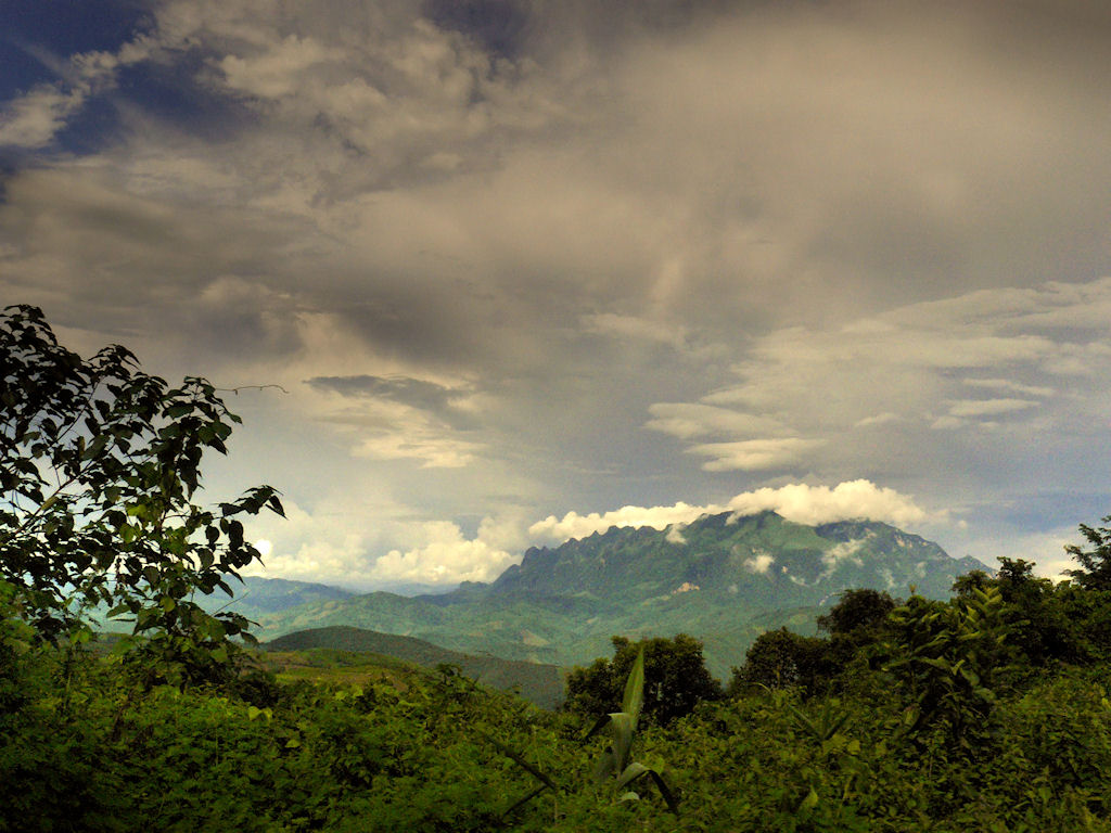 wallpaper zh: cool nature pics