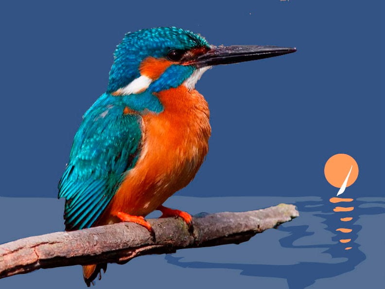 Los días de Alcione - NAVEGANDO POR GRECIA