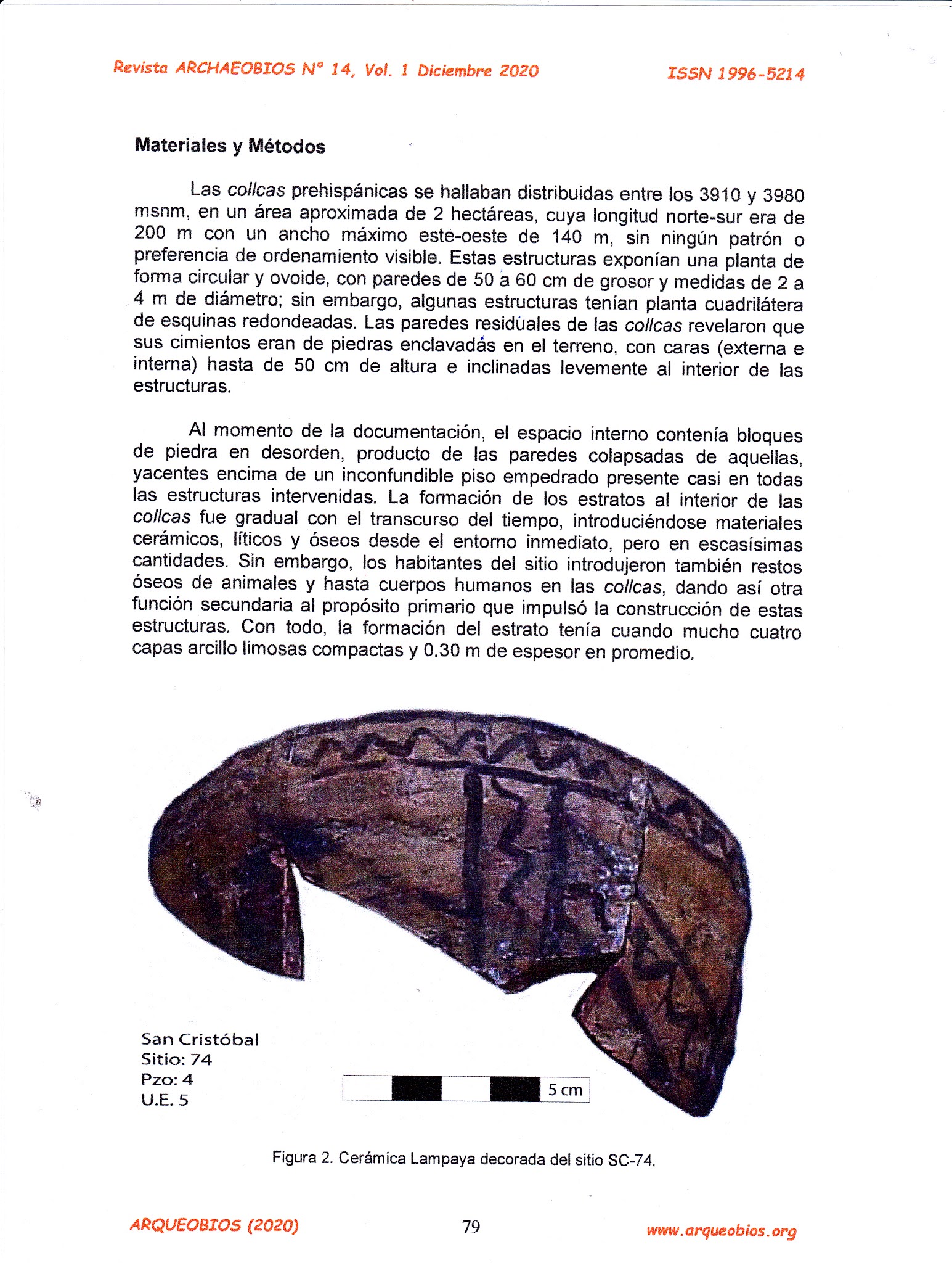 REPORTES DE ARQUEOLOGÍA DE BOLIVIA: Puma (Pumaconcolor): Una ofrenda al ...