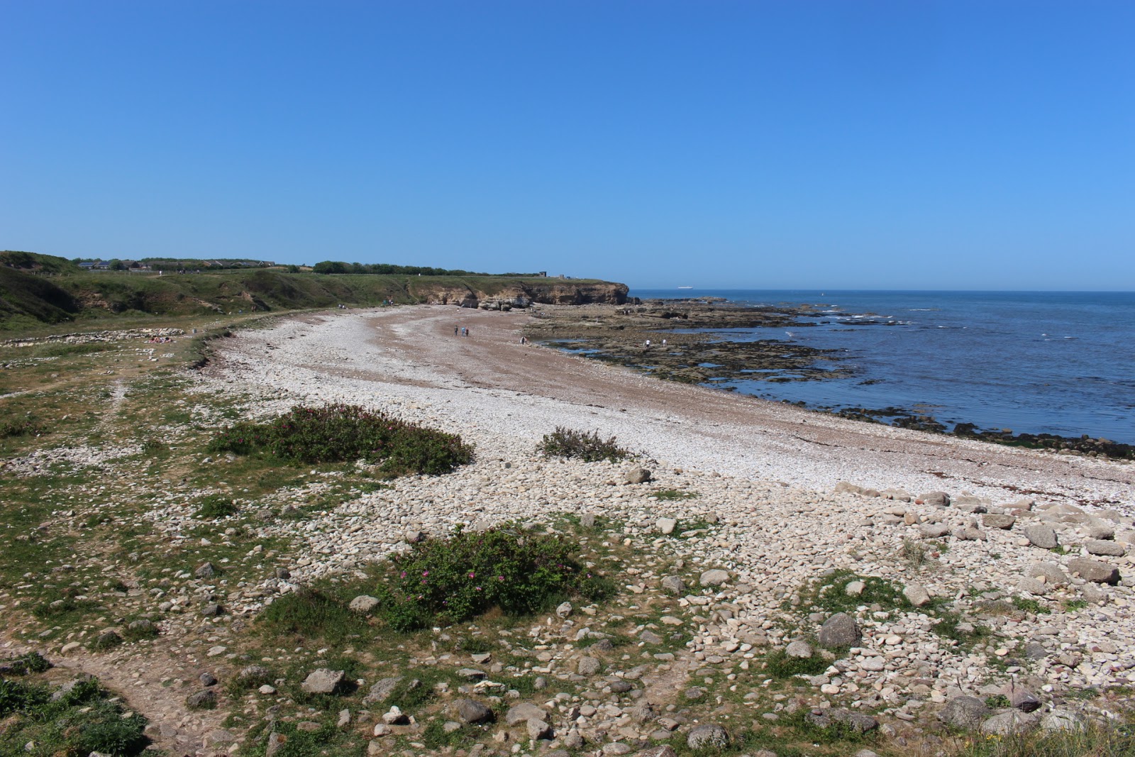 Wild Flowers, Sea Arches and Lighthouses: 300 million years in three ...