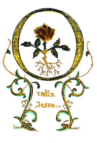 St. Emma Nuns: O Radix Jesse ~ O Root of Jesse Dec 19th