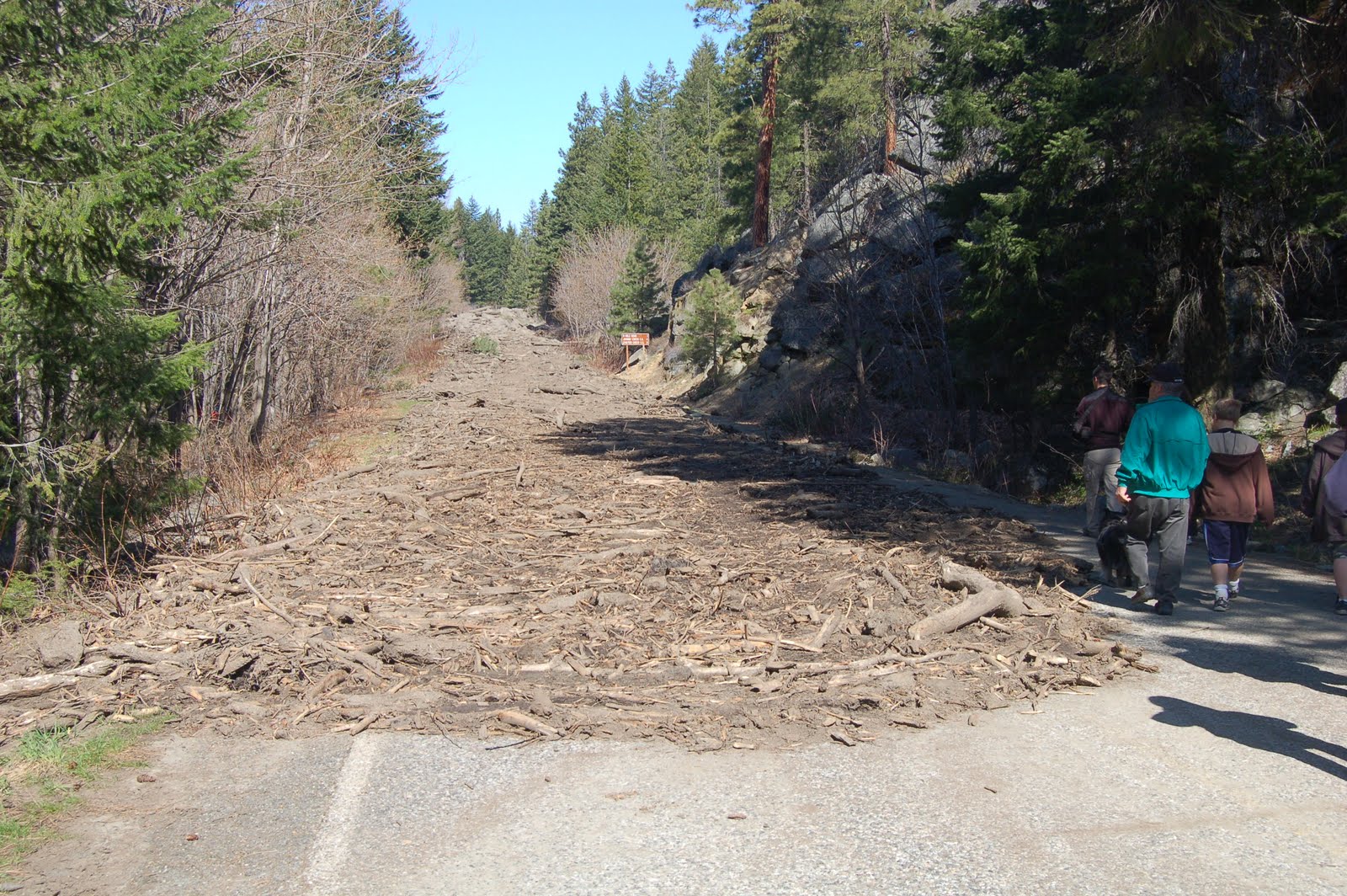 MOUNTAIN VIEWS: Rock Slide