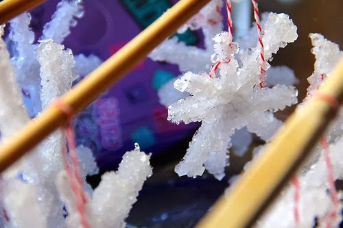 Puppy Love Preschool: Easy Crystal Snowflake Science Experiment Craft