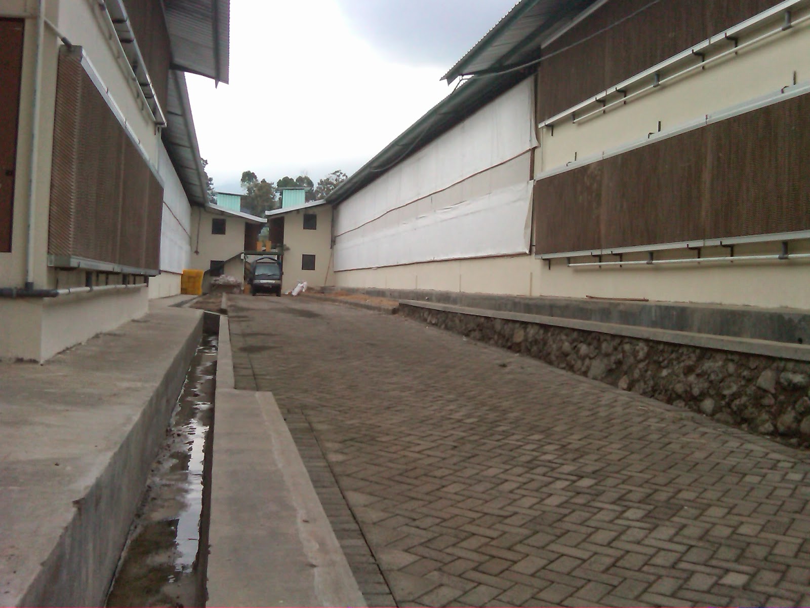 pt panca patriot prima: panca patriot prima