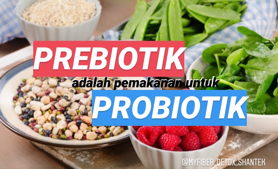 PREBIOTIK - PENTINGNYA UNTUK USUS KITA