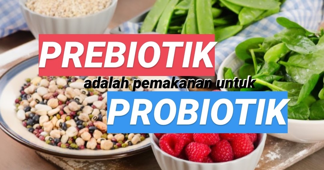 PREBIOTIK - PENTINGNYA UNTUK USUS KITA