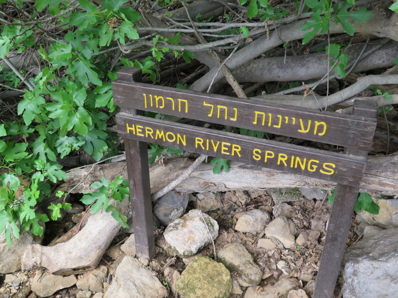 The Holyoaks in the Holy Land: Banias (Caesarea Phillipi)