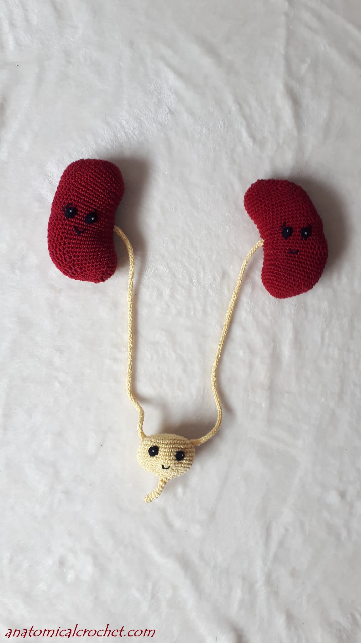 Adventures into Anatomical Crochet: Kidneys