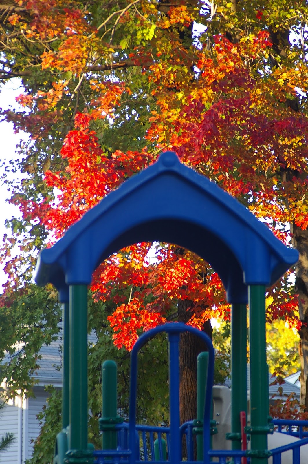 Bogota Blog NJ: Tree City Bogota