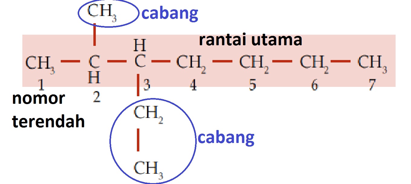 dyan sethya nugroho: ALKANA, ALKENA, ALKUNA