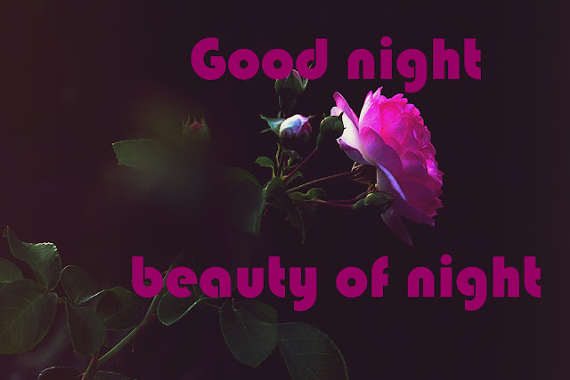 Beautiful Good Night Inspirational Quotes/ Images - Share Your Day Wishes