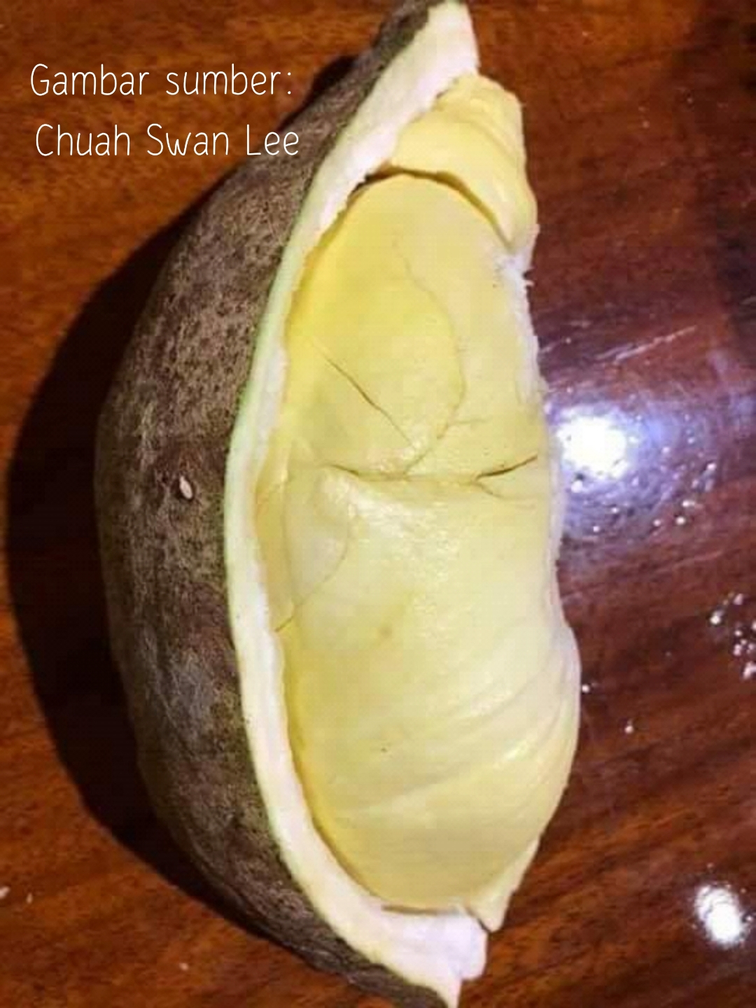 Nur Hafizah Sharudin's Blog: DURIAN D172; BUAH DURIAN YANG TIDAK BERDURI