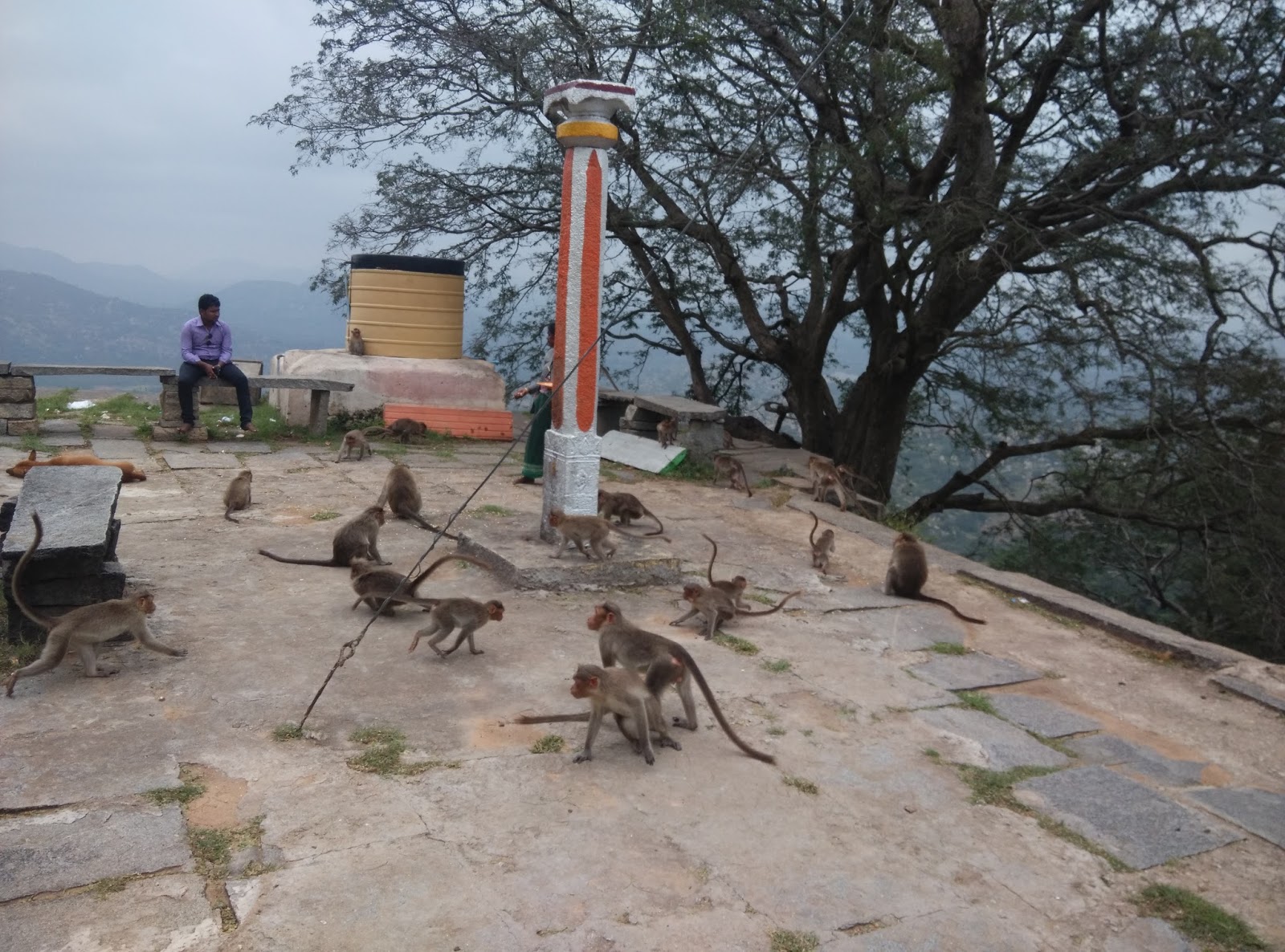 Just Saying......: Avalabetta and Gudibande fort