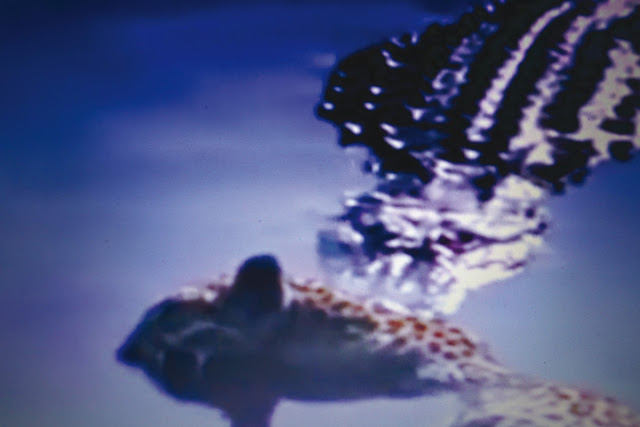 MUSEO DEL CAIMÁN Y SUS LUGARES / CAYMAN'S MUSEUM AND ITS PLACES ...