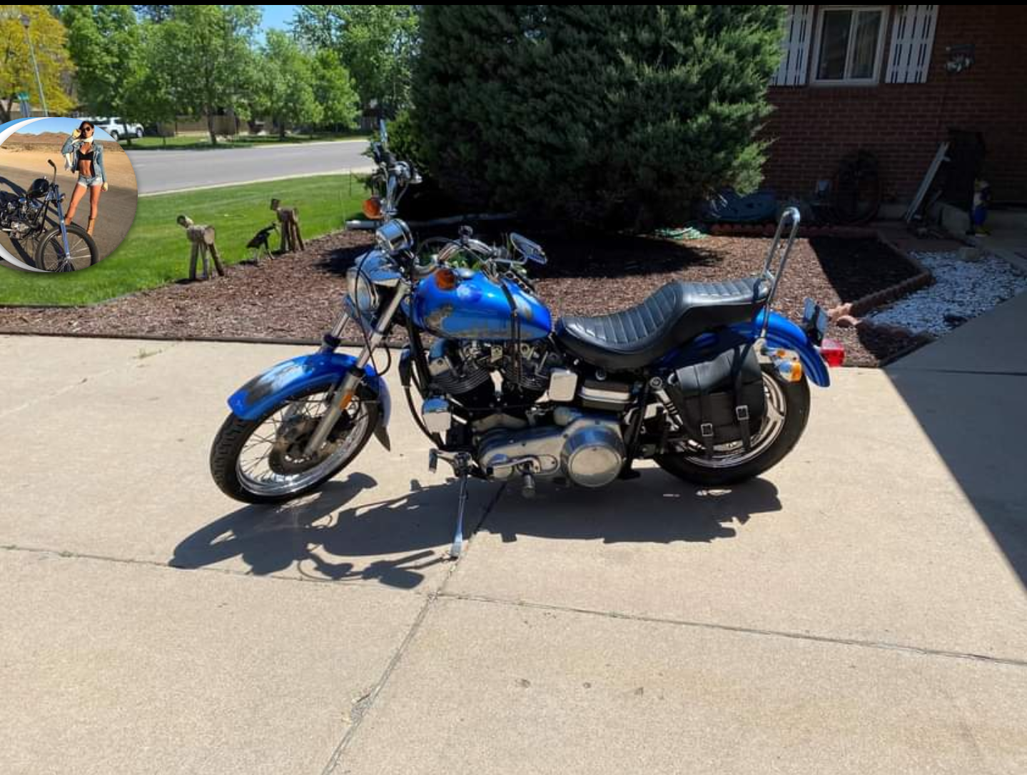 Sale Blog: 1984 FXE