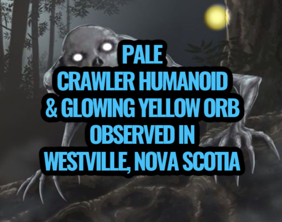 Please enable JavaScript