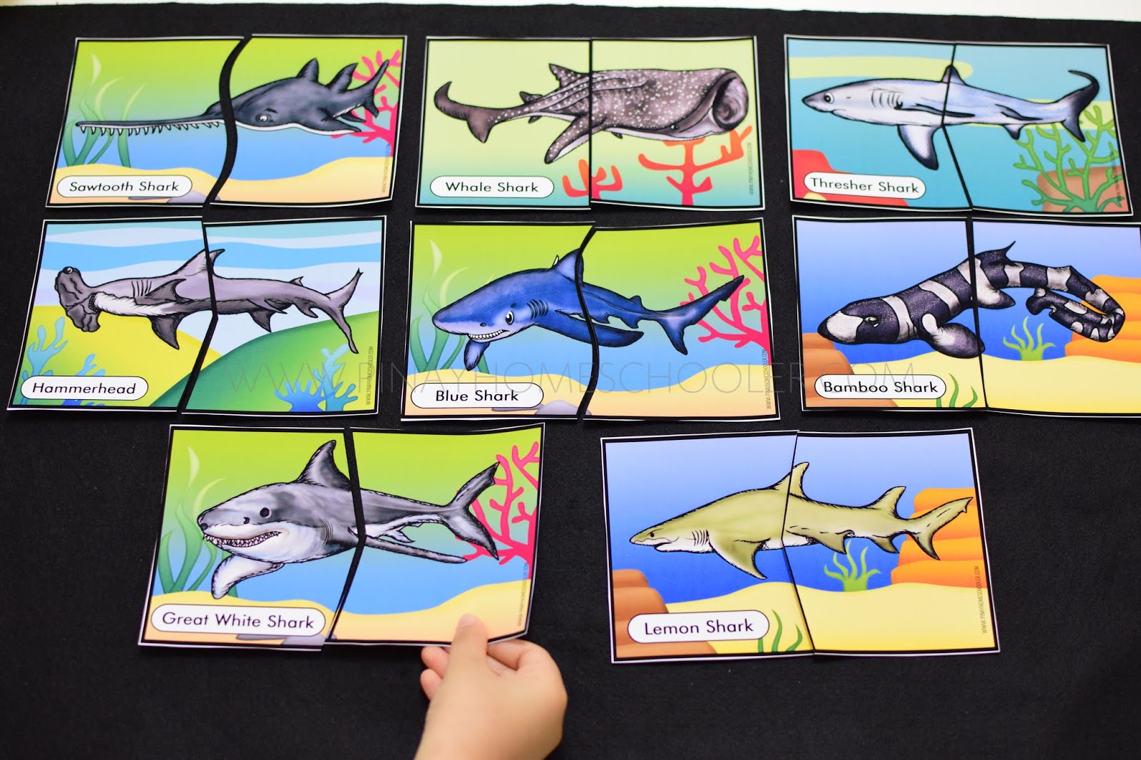 Sharks Preschool Mini Unit | The Pinay Homeschooler