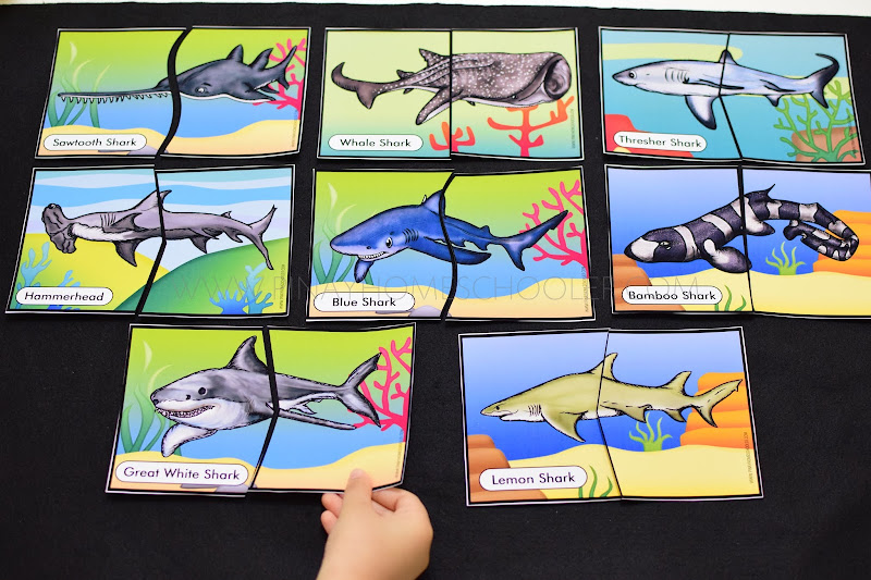 Sharks Preschool Mini Unit | The Pinay Homeschooler