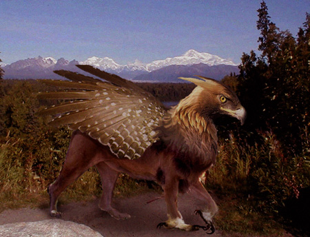 La mirada: griffin o grifo(Parte dos)