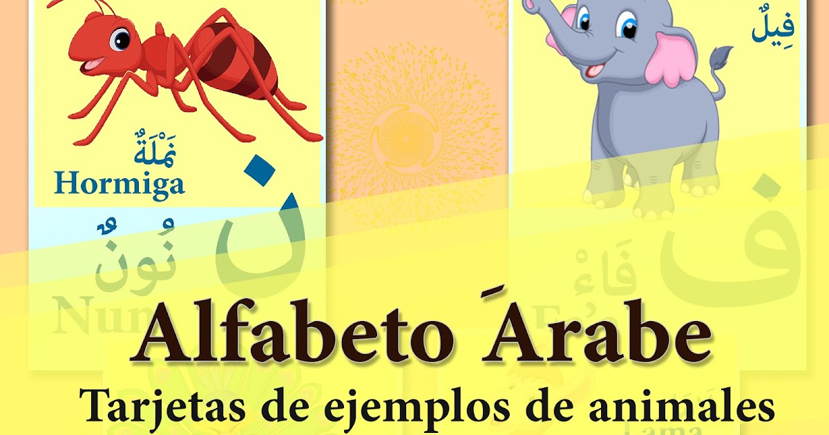Spanish | Arabic Alphabet flashcards