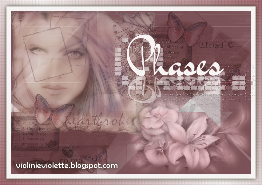 Violini e Violette: 2019