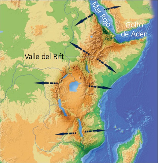 FUNDAMENTOS DE LA CIENCIA: agosto 2019