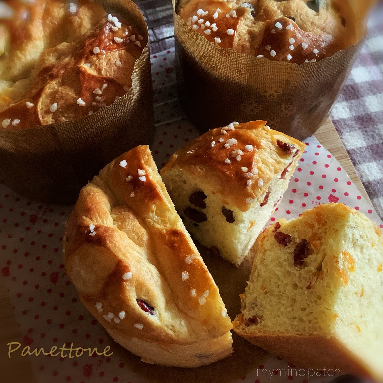 My Mind Patch: Panettone II