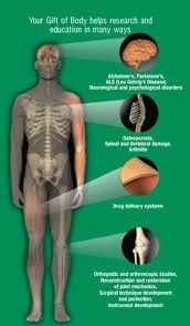 How To Donate My Body To Medical Science