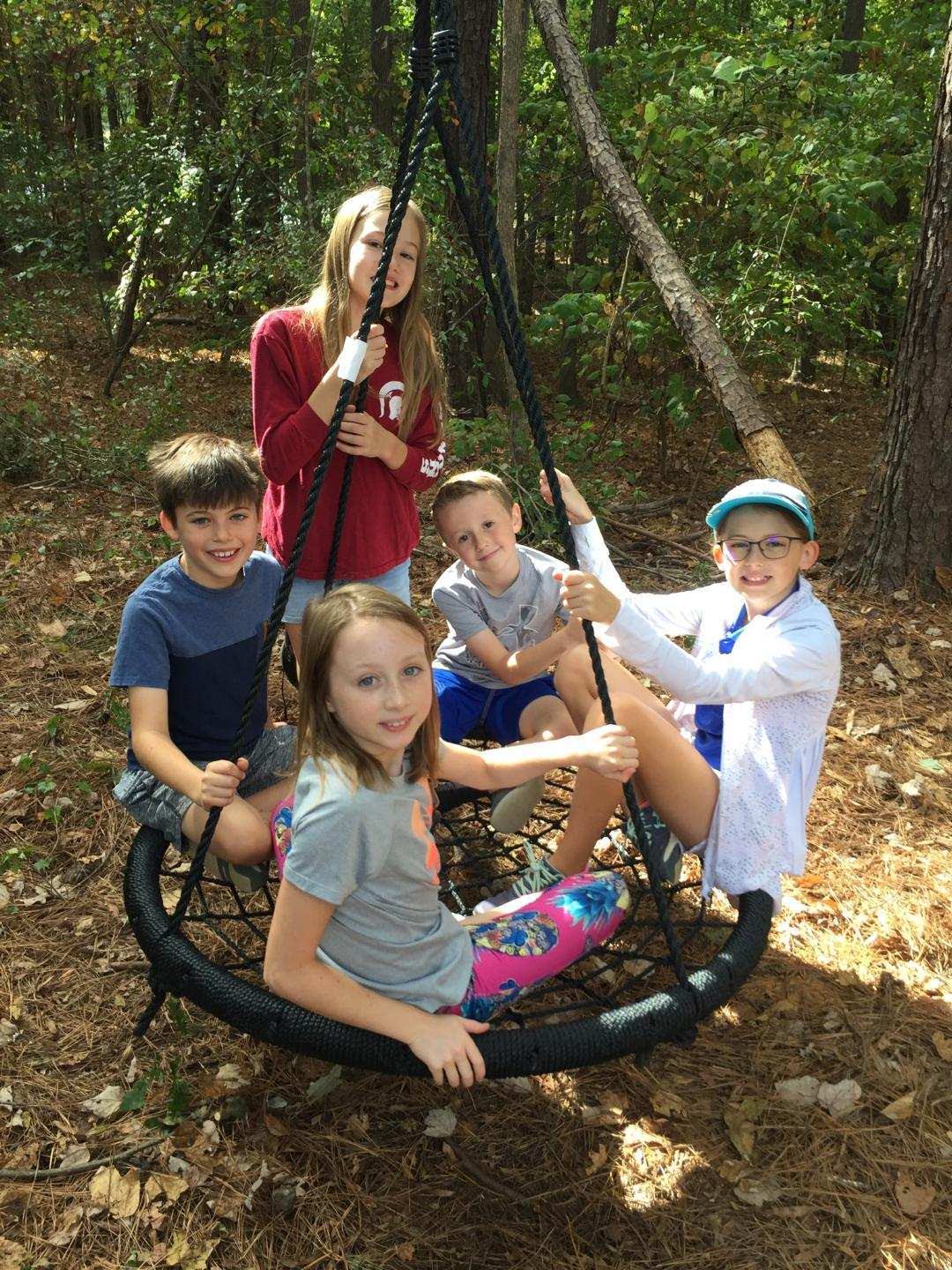 Piedmont Tree Climbing (PTC): Tree Swing Installation