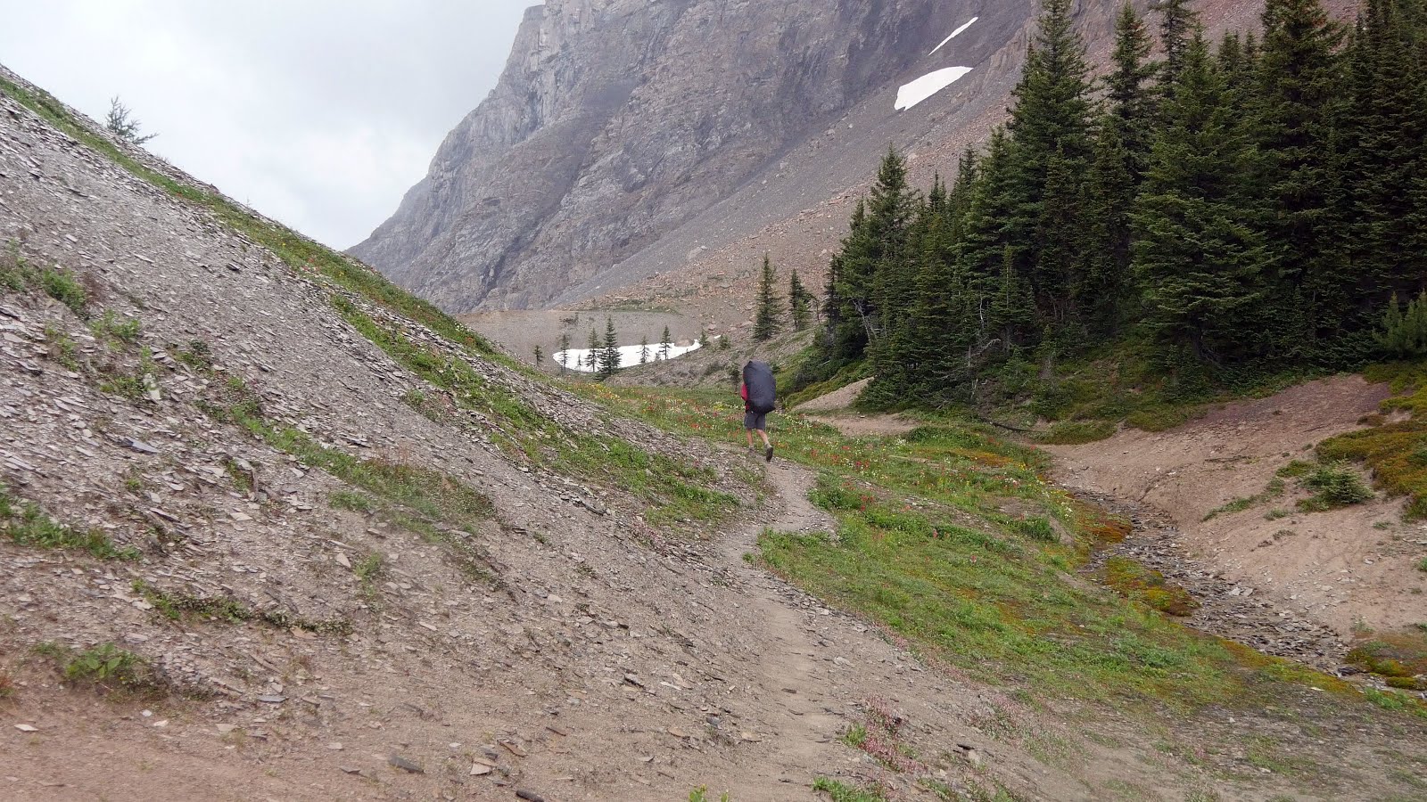 Nature and Technology