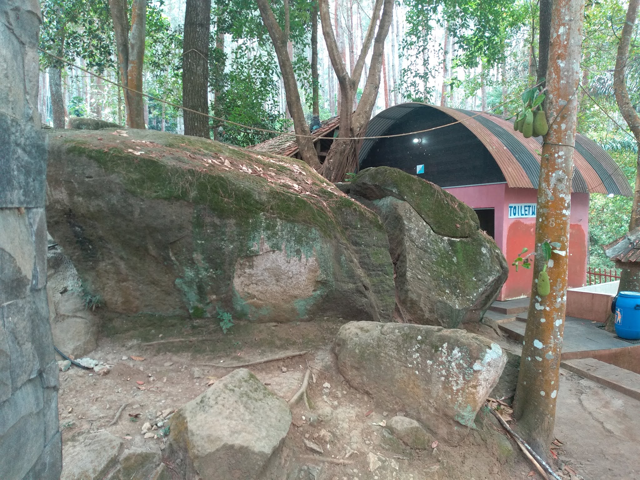 Wisata Sejarah Situs Batu Kuda -Jejak Peninggalan di Tepi Gunung Purba ...