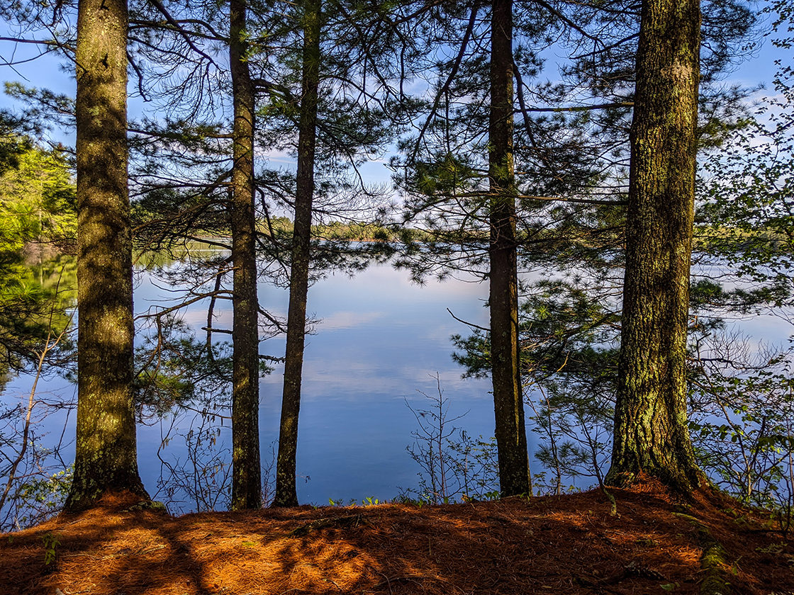 Hiking the Escanaba Lake Trail in Vilas County