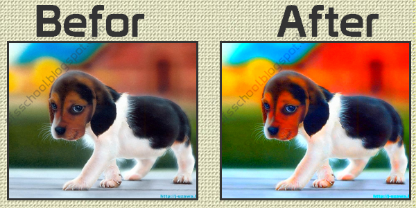 PF School: How To Use The Filtre More Saturation (+)