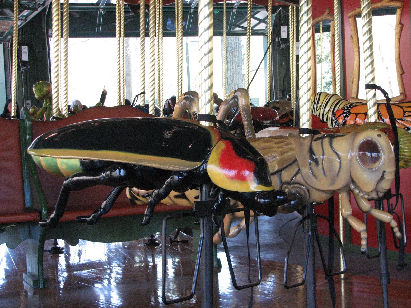 Bonao Internacional: " BUG CAROUSEL " : EL CARRUSEL DE LOS INSECTOS