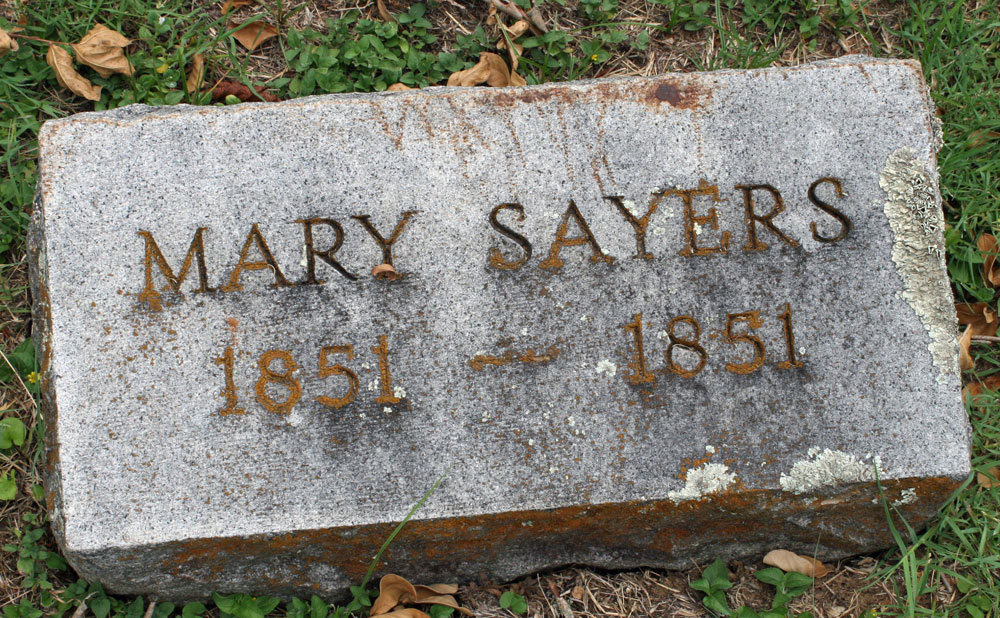 ABT UNK: Tombstone Tuesday: Dr. David Sayers Family Plot, Fairview ...