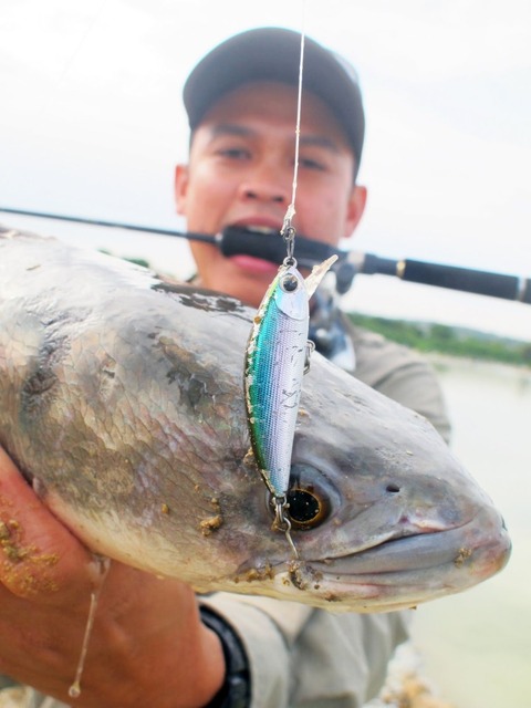 Ima Singapore: Our catches on Ima Sukari 50 SS