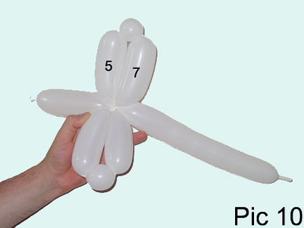 CLASSICAL: Balloon animal fat body