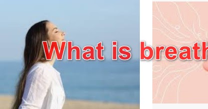 What is breathing? What is the respiratory system?