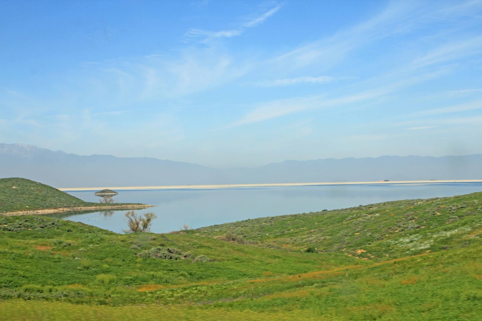 Western Sojourns: Travels with Camissonia: LAKE MATHEWS (Riverside ...