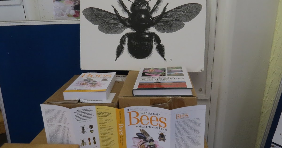 Ragged Robin's Nature Notes: A Bee Talk and Walk led by Steven Falk at ...