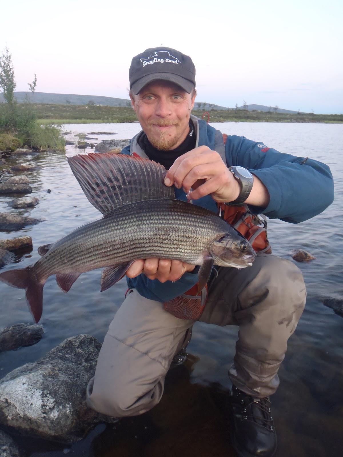 Fly fishing in Finland: Record Graylings!