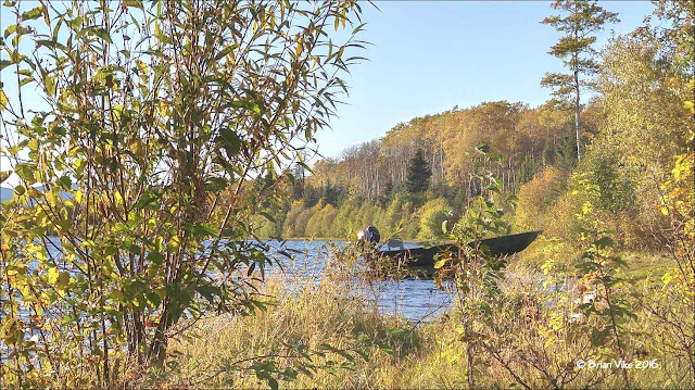 Northern Interior British Columbia: Fall At Sunset Lake Topley British ...