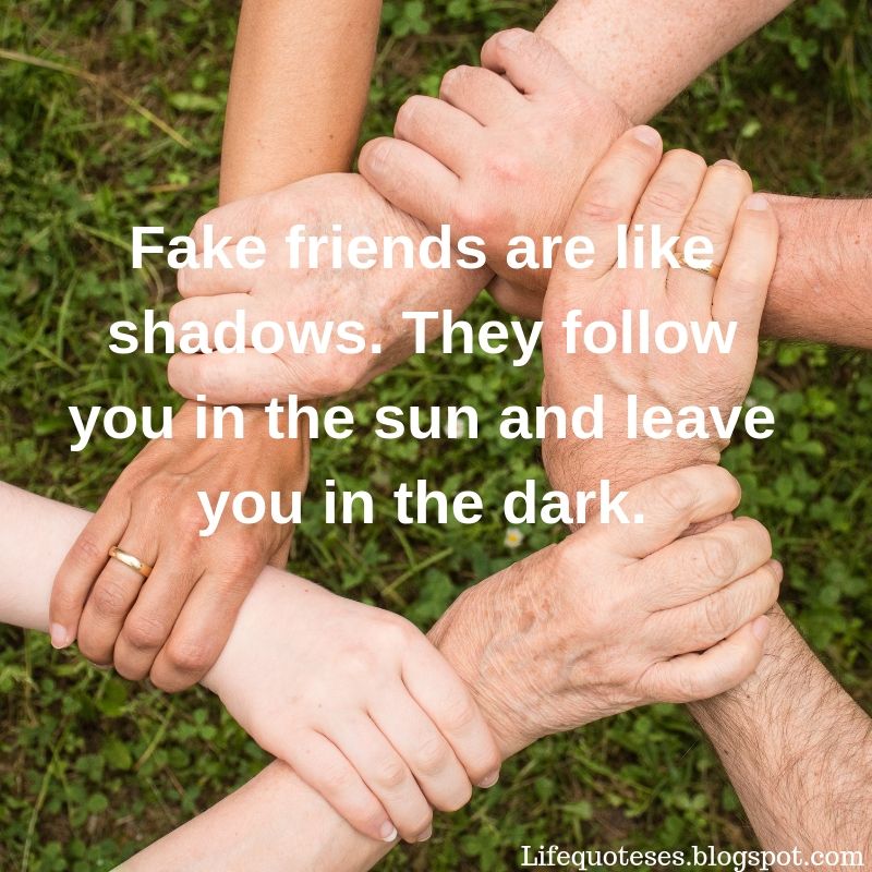 100+ Best Friendship Status In English For Whatsapp - LIFE QUOTESES