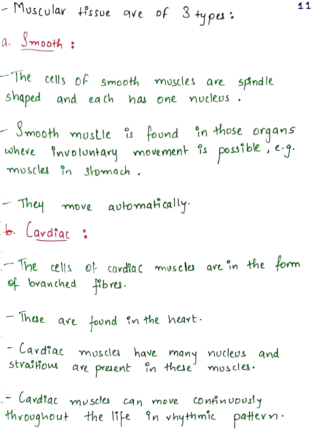 Tissue class 9 notes - Studypur
