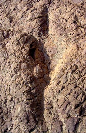 Lume & Ar: O Parque Jurássico de Querulpa