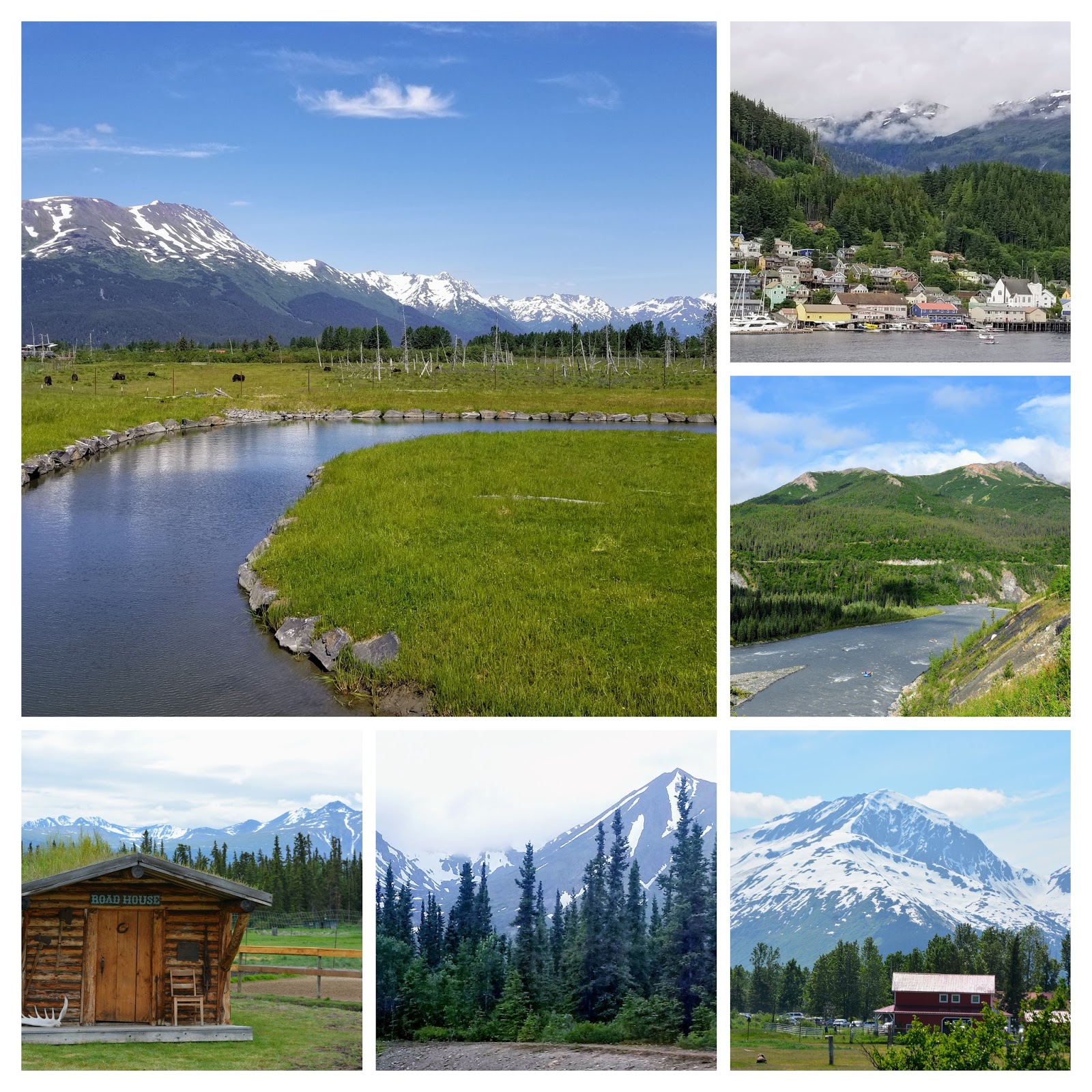 Mille Fiori Favoriti: Postcards From Alaska