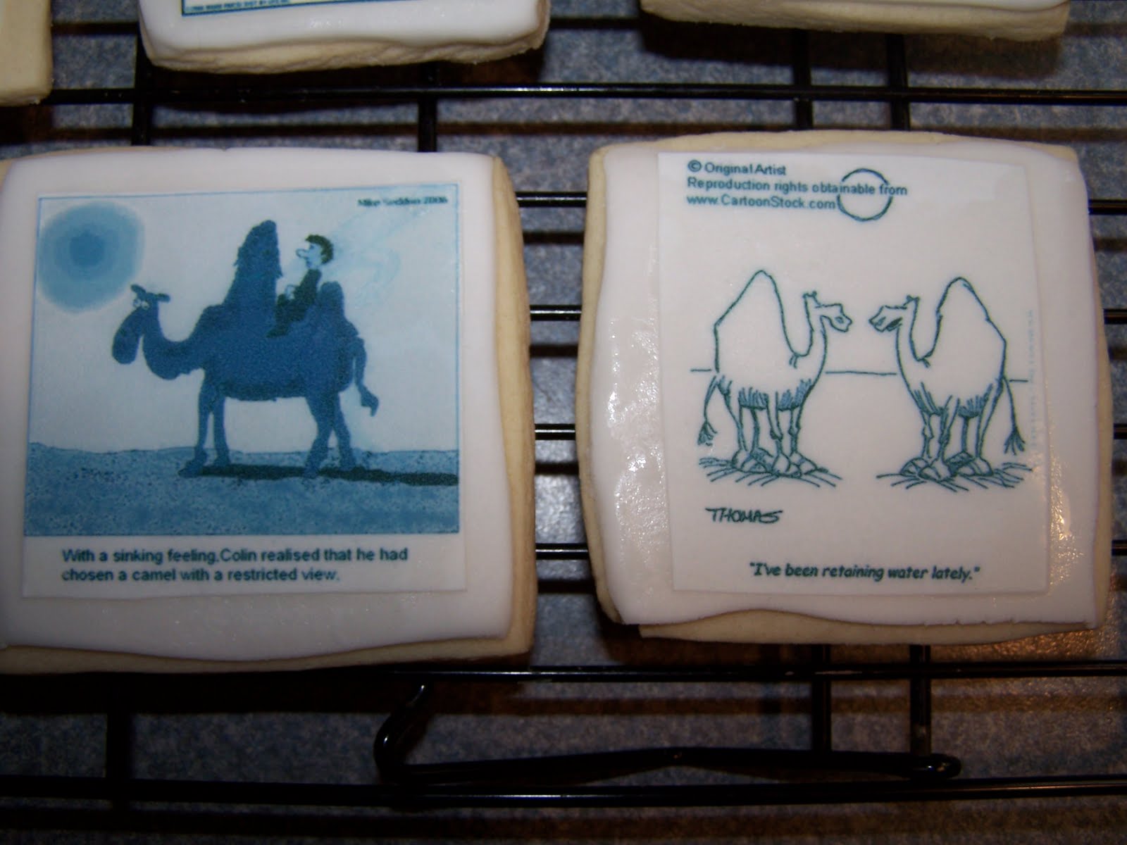 Edee's Custom Cakes: Camel Comic Cookies